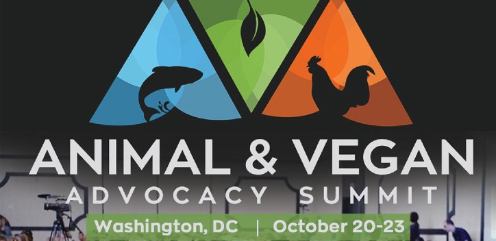 The Animal and Vegan Advocacy (AVA) Summit | The Vegan Society
