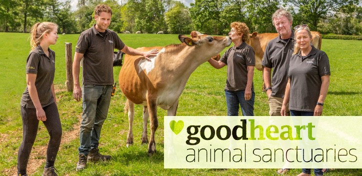 Goodheart Farm Animal Sanctuary Open Day | The Vegan Society