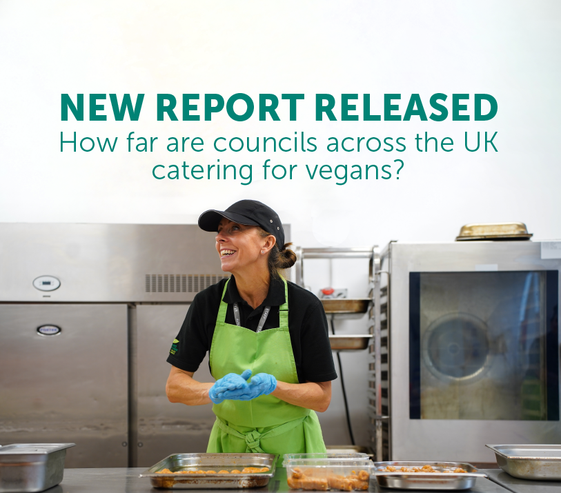 Campaigns | Learn About our Campaigns to Create a Vegan World