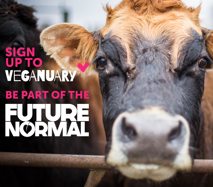 Campaigns | The Vegan Society