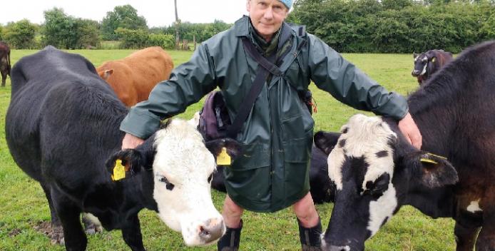 Vegetarian 'beef' farmer donates cows to sanctuary and starts a vegan ...