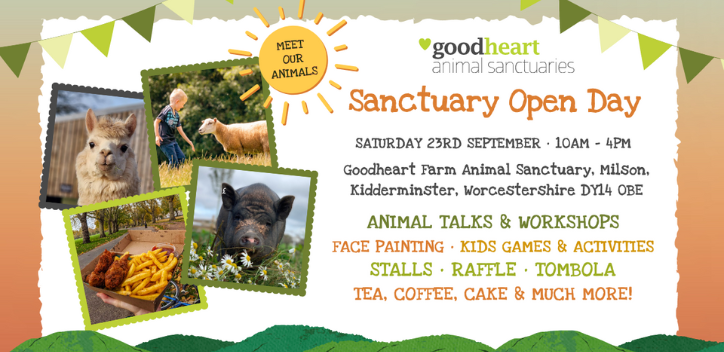 Animal Sanctuary Open Day | The Vegan Society