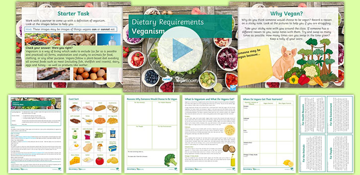 Plant-Based Starter Pack – The Picky Veggie