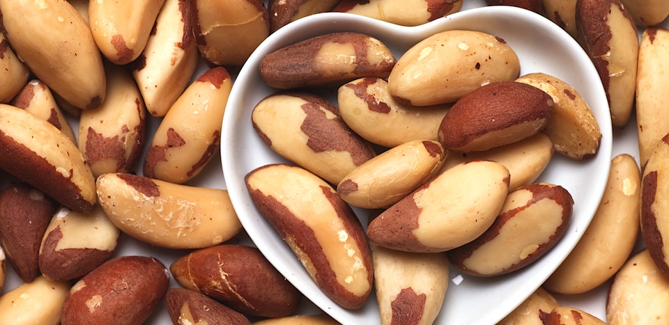 Brazil and hazelnut rissoles | The Vegan Society